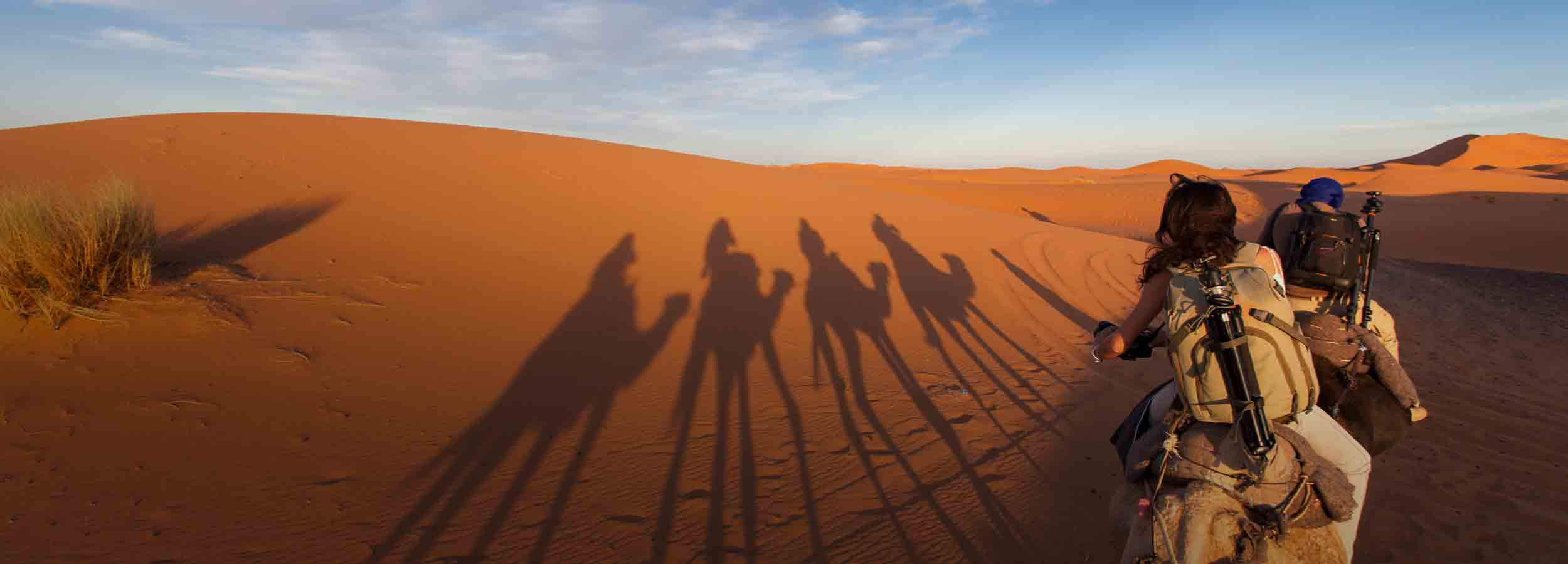 Foreign currency cash service unavailable - NAB